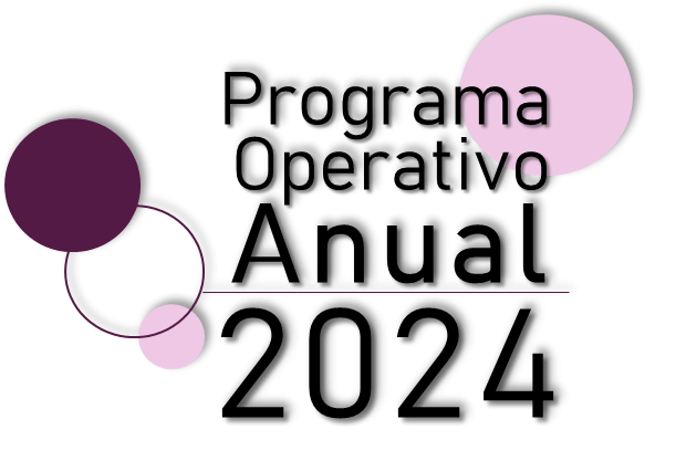 Elaboración del Programa Operativo Anual 2024